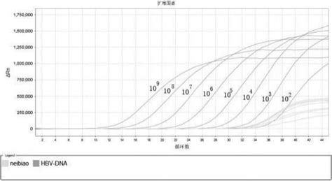 一种乙型肝炎病毒核酸检测试剂盒及其使用方法与流程