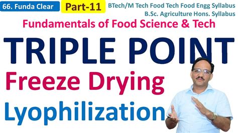 Triple Point Of Water Triple Point Diagram Freeze Drying Process