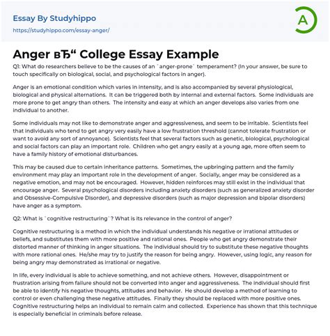 Anger College Essay Example
