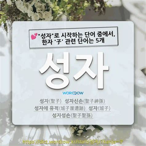 국어사전에서 💕성자로 시작하는 단어 중에서 한자 子 아들 자 관련 단어는 5개