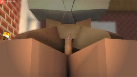 Minecraft Sex