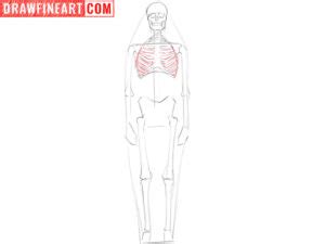 How To Draw A Skeleton Draw Fine Art How To Draw A Skeleton Draw Fine Art