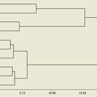 1 Dendrogram Obtained Using Cluster Analysis Ward Method Euclidean