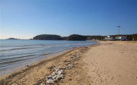 몽산포해수욕장 관광안내 씨앤화이트캔버스