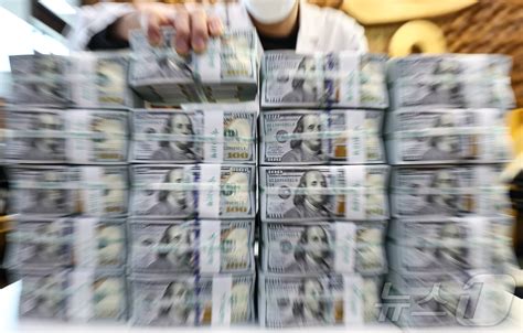 원·달러 환율 금융위기 후 최고치 뉴스1