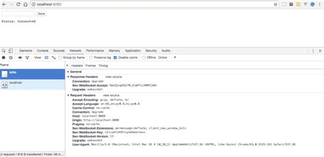 Go 使用 Websocket 无涯教程网