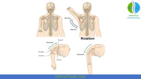 Shoulder Examination Easy Tutorial Orthofixar 2026