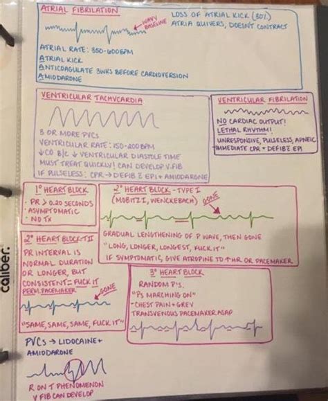 How To Remember Beta Blocker Classification In 5 Minutes Artofit How To Remember Beta Blocker Classification In 5 Minutes Artofit