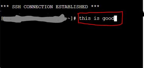 is there a way to customize terminal input style with my own js css or html element · issue
