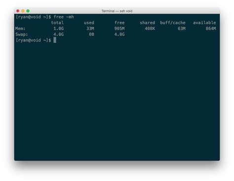 Void Linux Puddletown