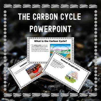 The Carbon Cycle PowerPoint Presentation Slideshow By Kickin It In K