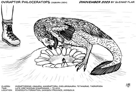 Oviraptor Philoceratops By Sleinadflar On Deviantart
