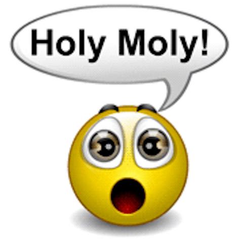 Holy Moly By Ballincat43