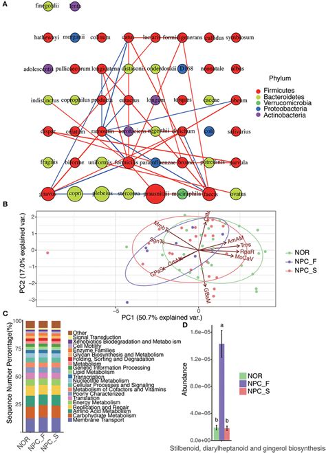 The Intestinal Flora Interaction Network Analysis And Functional