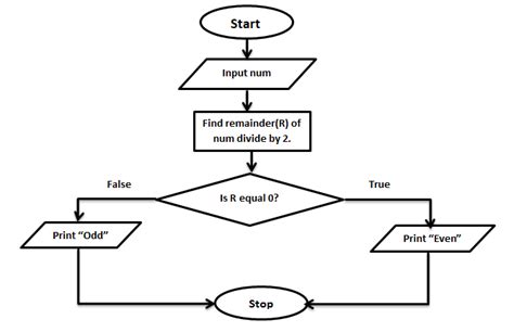 Plk Computer Sir Algorithm And Flowchart Notes