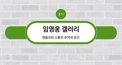 임영웅 갤러리 팬들과의 소통과 추억의 공간