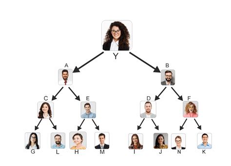 Letscms Mlm Software Grow Your Network Marketing Business Faster