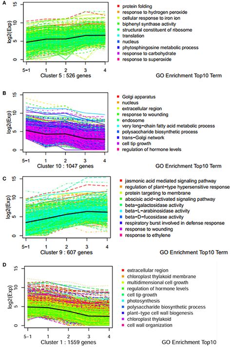 Frontiers Comparative Transcriptomic Analysis Reveals That Ethylene