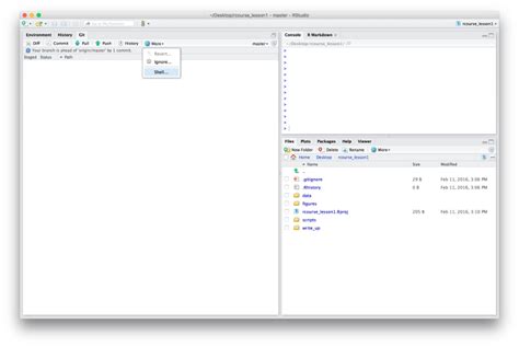 Lesson 1 R Basics Page Piccinini