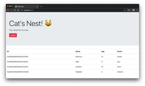 Cats Nest Openid Connect Authentication With Nestjs React And Mongodb Stephen Doxsees Blog