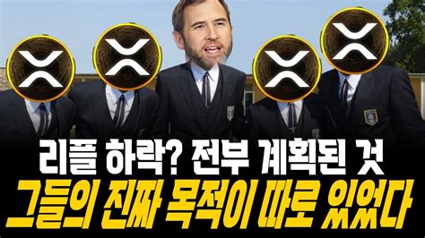 리플xrp 전망 리플 하락 전부 계획된 것 그들의 진짜 목적이 따로 있었다 업비트시황 코인시황 급등코인추천 리플etf대응 리플대응 리플스테이블코인 Youtube