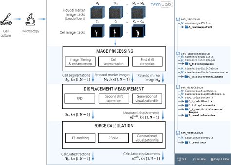 Figure 1 From Tfmlab A Matlab Toolbox For 4d Traction Force Microscopy Semantic Scholar