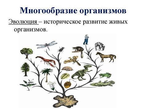 Разнообразие организмов 5 класс Online Presentation