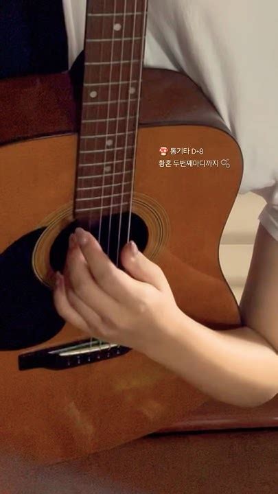 👶 통기타 독학 D8 황혼 날마다 한마디씩 도전 2 기타 독학 황혼 Youtube