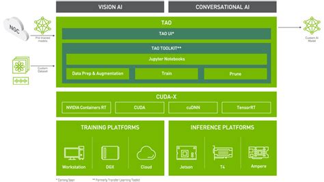 Overcoming Data Collection And Augmentation Roadblocks With NVIDIA TAO