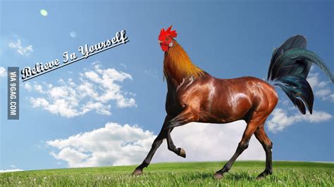 Horsecock 9gag