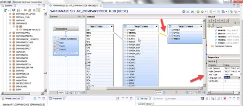 Sap Tech Implementing Attribute View With Company Code