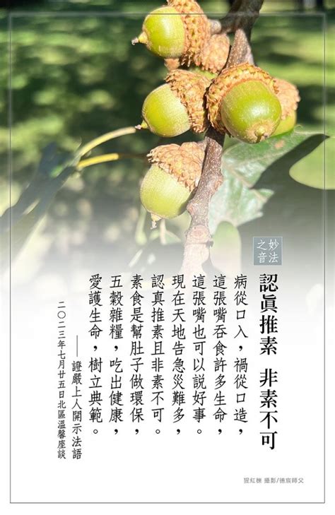 證嚴上人每日一叮嚀2023 09 01 1