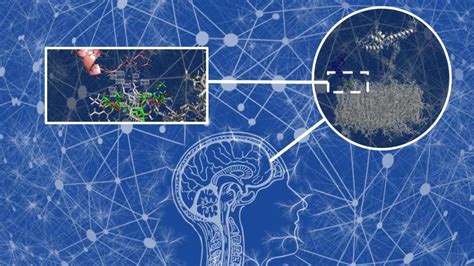 Neuron Membrane Lipid May Contribute To Alzheimers Development Progression Penn State University