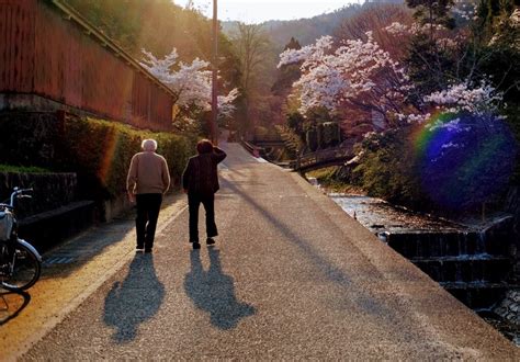 夕暮れ散歩 by あると ID9522330 写真共有サイト PHOTOHITO