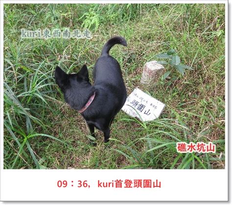 頭圍山礁水坑山冷門山 秋冬行絕美景現 健行筆記