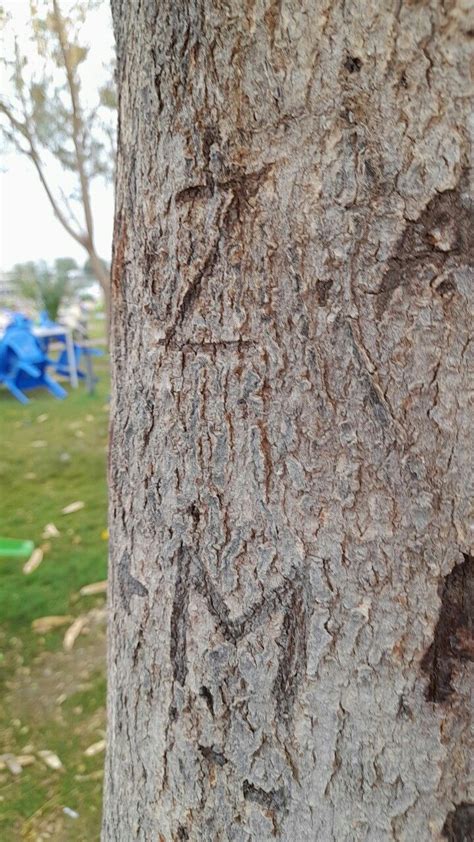 Pin Su منشورات من خلالك