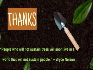 Thought Of The Day Tree Plantation Pptx Thought Of The Day Tree Plantation Pptx