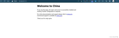 docker 数据卷操作以及挂载nginx docker挂载nginx数据卷 csdn博客