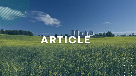 Zero Allocation The Global Feed Lca Institute