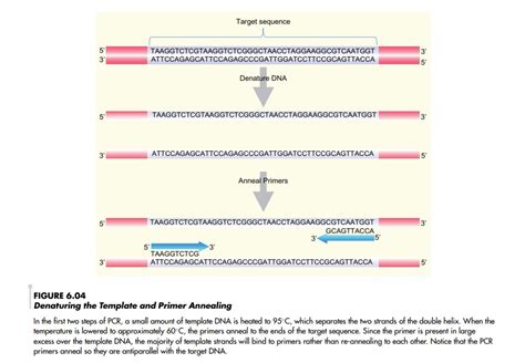 2 1 Mybiosource Learning Center
