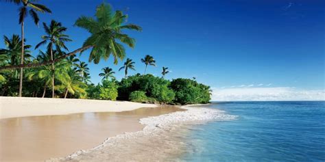 Buy Awert Vinyl Ocean Aquarium Background Tropical Island Palm Trees