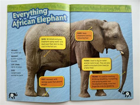 what are textual content options examples and how to train them faberk