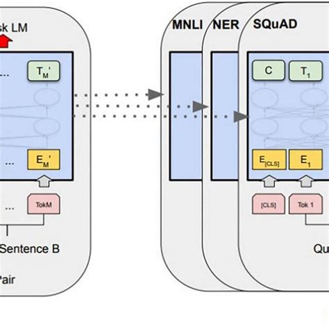 BERT Pre Training And Fine Tuning Procedures Download Scientific Diagram