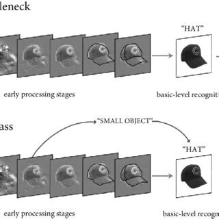 At The Top The Basic Level Bottleneck Account Shows The Standard Download Scientific