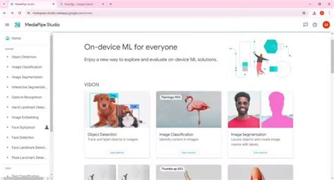 Manjula Rani On Linkedin Imageclassification Machinelearning Ai Innovation Computervision