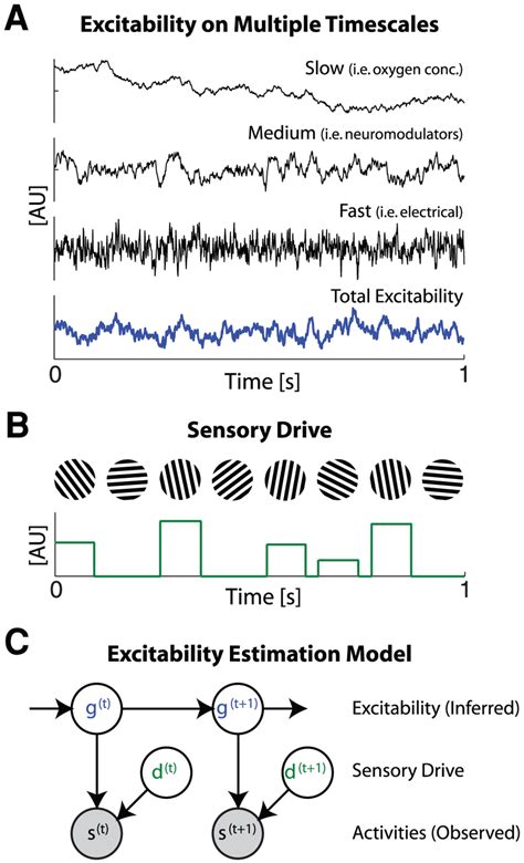 An Excitability Estimation Model A Examples Of Fluctuations In