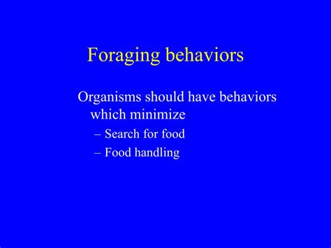 Ppt Foraging Behavior Powerpoint Presentation Free Download Id 432774