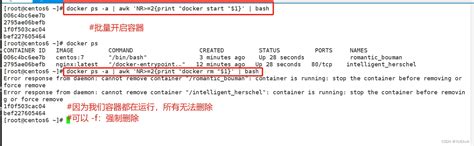 docker基础命令 查询镜像仓库tag csdn博客