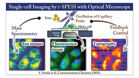 The Analytical Scientist Spatial Lipid Profiling Achieved Using T