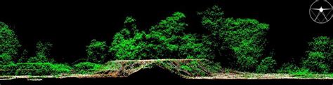 Cad Mapping Pty Ltd On Linkedin Cadmapping Lidar Pointcloud Data Vegetation Terrain